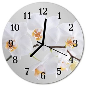 Nástěnné hodiny obrazové na skle - Orchidej  bílá