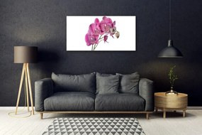 Plexisklo-obraz Orchidej Květiny Příroda 100x50 cm