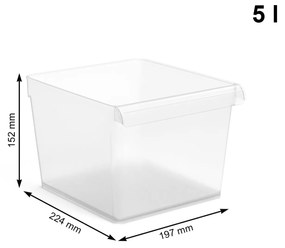 Rotho Organizér do lednice (vestavěné) LOFT FRIDGE - 22x20x15cm