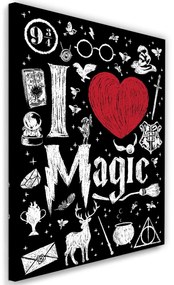 Gario Obraz na plátně Harry Potter, miluji magii - Dr.Monekers Rozměry: 40 x 60 cm