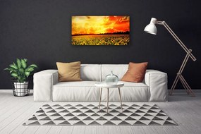 Obraz na plátně Louka Slunečnice Květiny 120x60 cm