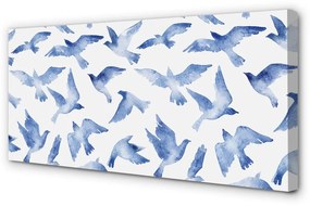 Obrazy na plátně malované ptáci 100x50 cm