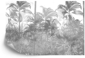 Fototapeta Tropical Trees And Leaves In Foggy Forest Wallpaper Design - 3D Omyvatelný vlies 152.5x104