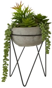 Umělý sukulent (výška 36 cm) Fiori – Premier Housewares