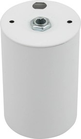 TK Lighting Bílé stropní svítidlo Top 50mm pro žárovku GU10 TK5766