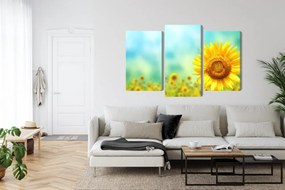 Vícedílný obraz Dekorativní 3D Květy Slunečnice Nedostatek Nedostatek Plátno Canvas 60x40