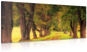 Obraz chodník podzimním lesem Varianta: 100x50