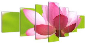 Obraz květu Lotusu (210x100 cm)