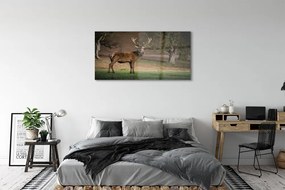 akrylový obraz Jelen v poli 125x50 cm