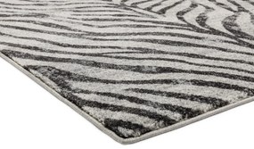 Šedý  koberec Dinamo Zebra Grey Rozměry: 160x230 cm