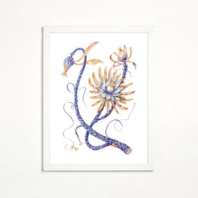 Filip Šenkeřík | Pouštní kvítí Rám: Černý, Velikost: 60 x 40 cm