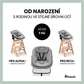 Hauck Křesílko Bouncer 3v1 na židličku Alpha+/Beta+, Dark Grey Melange