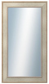 DANTIK - Zarámované zrcadlo - rozměr s rámem cca 50x90 cm z lišty TOOTH stříbrná (2779)