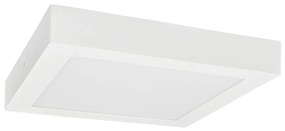 Greenlux | LED Stropní svítidlo FENIX LED/24W/230V 3800K 29,8 cm sněhově bílá | GXDW393