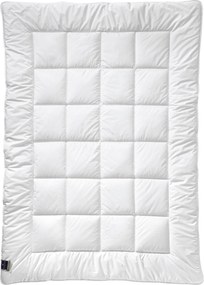 XXXLutz CELOROČNÍ PŘIKRÝVKA, 135/200 cm, polyester Billerbeck - Přikrývky - 003279011301