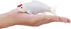 Mojo Kapr koi tancho / od 3 let