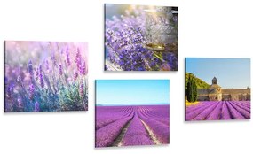 Set obrazů pro milovníky levandule - 4x 40x40 cm
