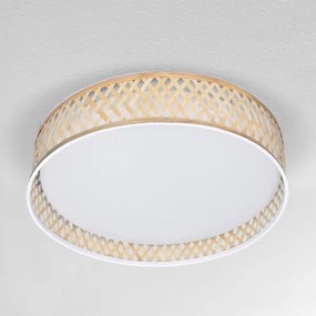 Brilagi - LED Stmívatelné stropní svítidlo CAMILA LED/48W/230V 3000-6500K + DO