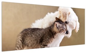 Obraz kočky se psem (100x40 cm)