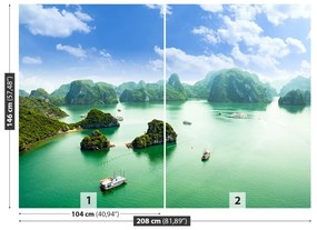 Fototapeta zátoka ve Vietnamu 104x70