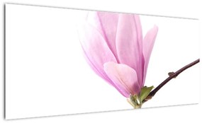 Květ - obraz (100x40cm)
