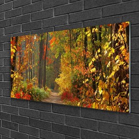 Obraz na skle Les Příroda Podzim 120x60 cm