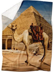Deka Velbloud u pyramidy (Rozměr : 150 x 120 cm, Podšití beránkem: ANO)