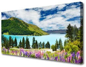 Obraz na plátně Hora Les Jezero Krajina 140x70 cm