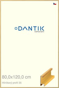 DANTIK rámeček 80x120 | ALU profil 6035 Dýha barevná žlutá (Plexi Čiré)
