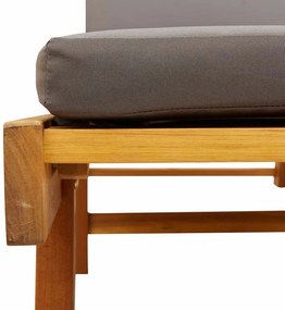 Zahradní lehátka 2 ks s poduškami 200x68x83 cm masivní akácie 3206373