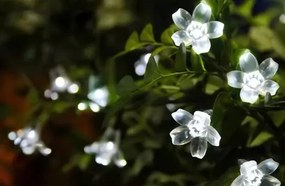 Dekorativní venkovní solární řetěz s 40 LED – Lights Flowers - Bílá