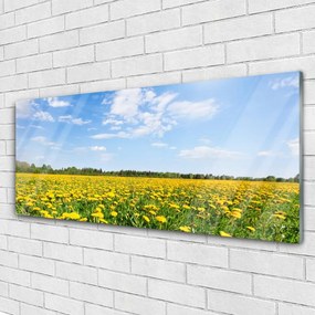 akrylový obraz Pampeliška Krajina 125x50 cm