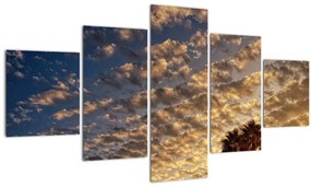 Obraz - Palmy mezi mraky (125x70 cm)