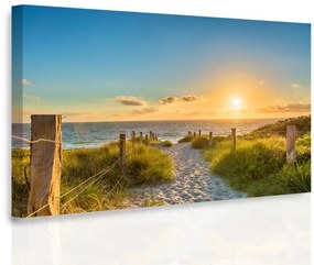 Malvis ® Obraz - Pěšinka na pláž Velikost (šířka x výška): 60x40 cm