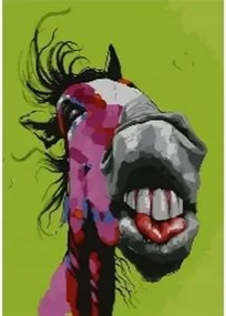 NORIMPEX Malování podle čísel Crazy Horse / 40x50 cm