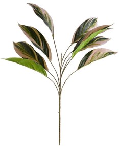 Butlers FLORISTA Aglaonema větvička 62 cm - zelená/růžová