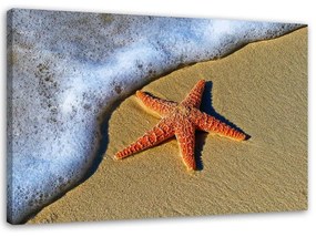 Obraz na plátně Písek na pláži s hvězdicemi - 60x40 cm