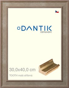 DANTIK rámeček 30x40 | TOOTH malá stříbrná (Plexi Čiré)