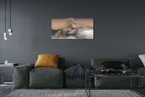 Obrazy na plátně Unicorn mraky 125x50 cm
