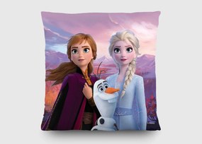 Dekorativní polštářek Ledové Království v Lese, Disney | 40 x 40 cm | DCND 3129