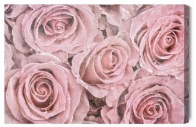 Obraz Krásné Vintage Růže Nedostatek Nedostatek Plátno Canvas 70x50