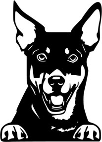 Samolepka pes Australská kelpie