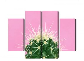 Vícedílný obraz Kaktus Na Růžovém Pozadí Nedostatek Nedostatek Přírodní plátno 80x60