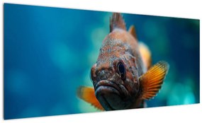 Obraz - ryba (100x40cm)
