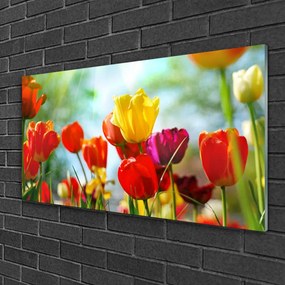 Obraz na skle Květ 125x50 cm