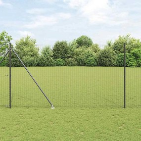 Evropský plot se hroty 10 x 1,6 m Ocel potažená PVC Šedá 3350633