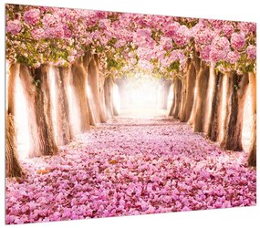 Obraz květinového chodníku (70x50 cm)