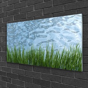 Obraz na skle Tráva Voda Příroda 120x60 cm