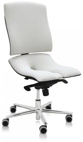 Zdravotní židle Steel Standard / bílá