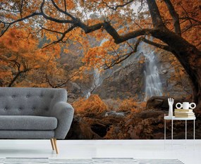 Malvis ® Tapeta Podzimní vodopád Vel. (šířka x výška): 288 x 200 cm